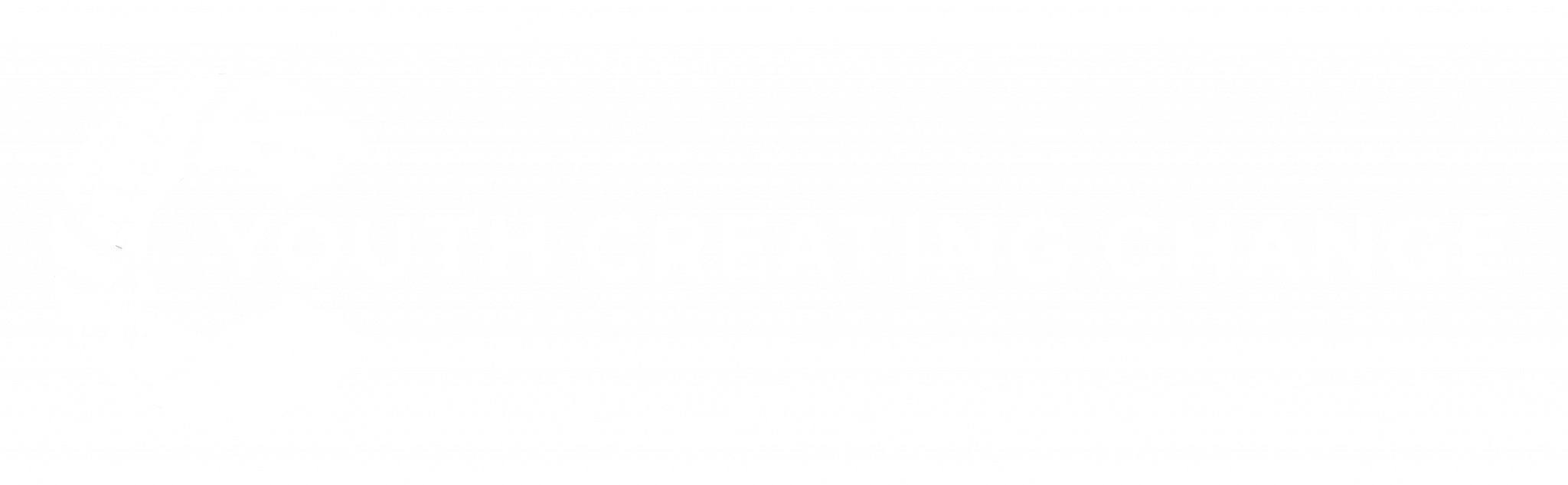 I Didn’t See – Youth Creating Change